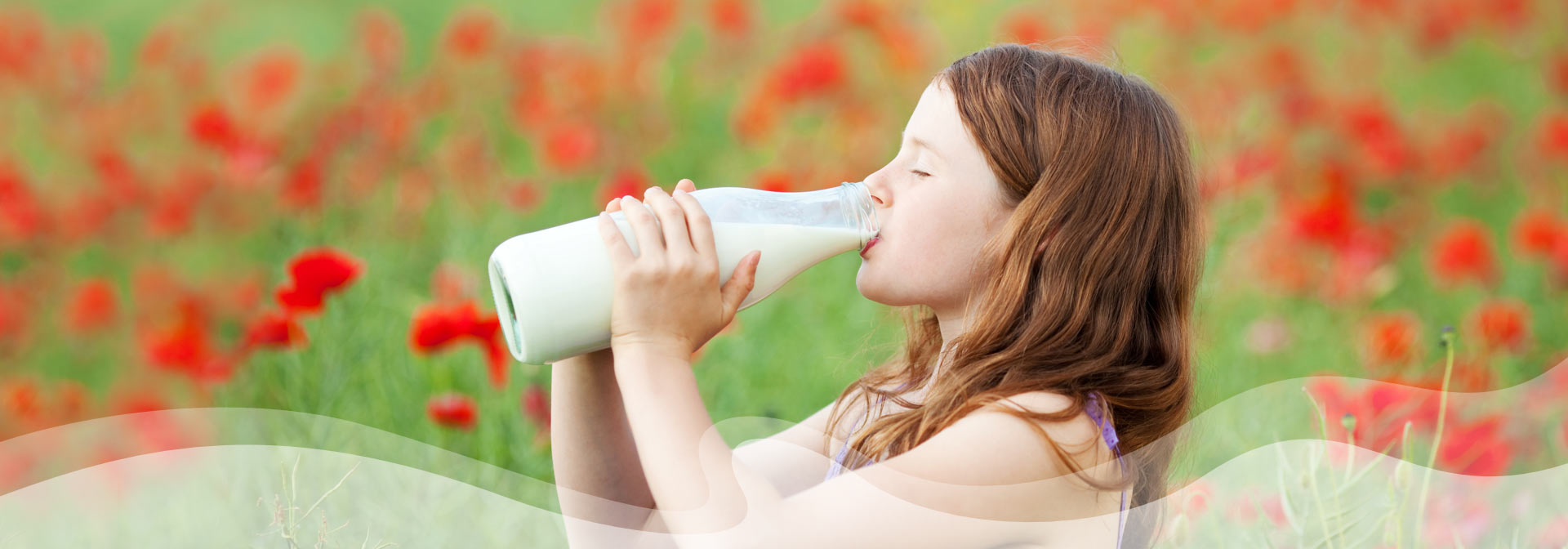 milag - Milchwirtschaftliche Arbeitsgemeinschaft Rheinland-Pfalz-Saar e.V.