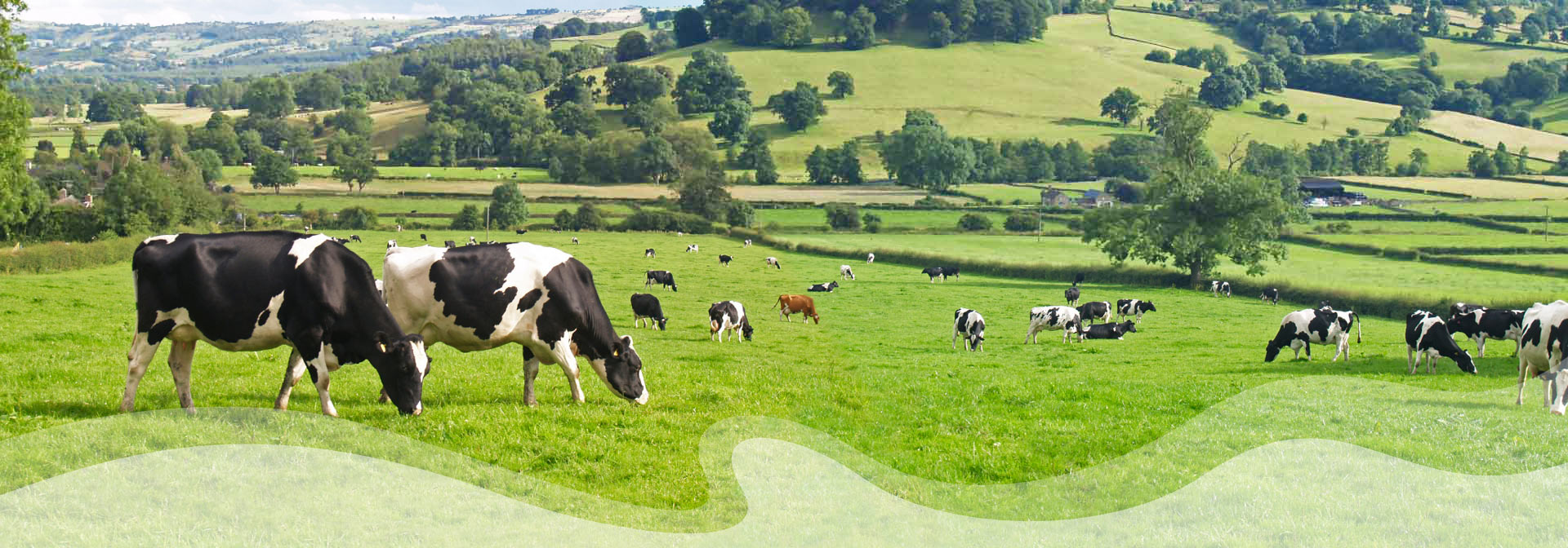 milag - Milchwirtschaftliche Arbeitsgemeinschaft Rheinland-Pfalz-Saar e.V.